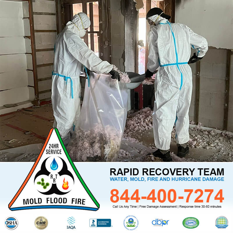 Mold Removal South Florida | Mold Remediation Company Florida